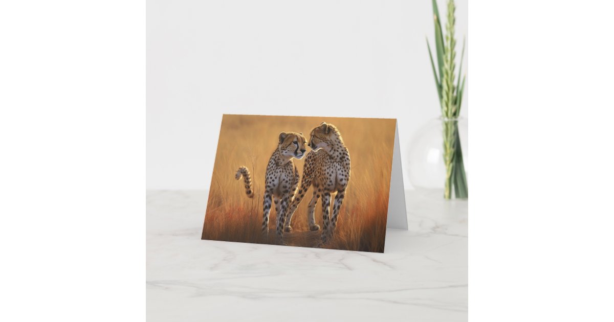 Cheetah's Greeting Card | Zazzle