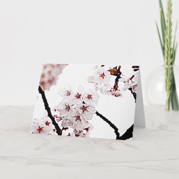 Cherry Cards | Zazzle UK