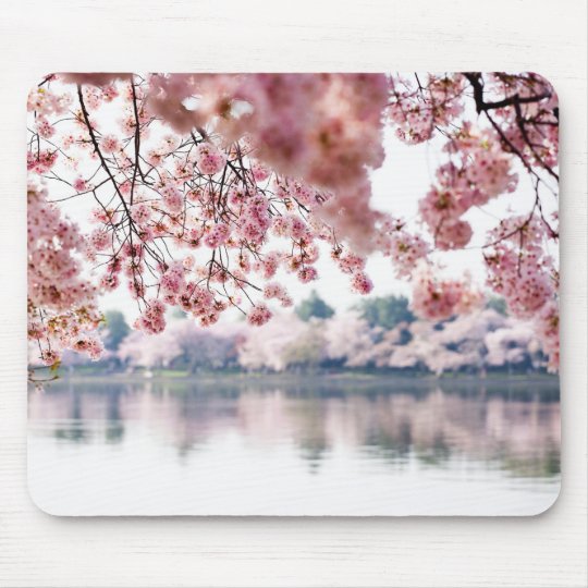 Cherry Blossoms Mouse Mat | Zazzle.co.uk