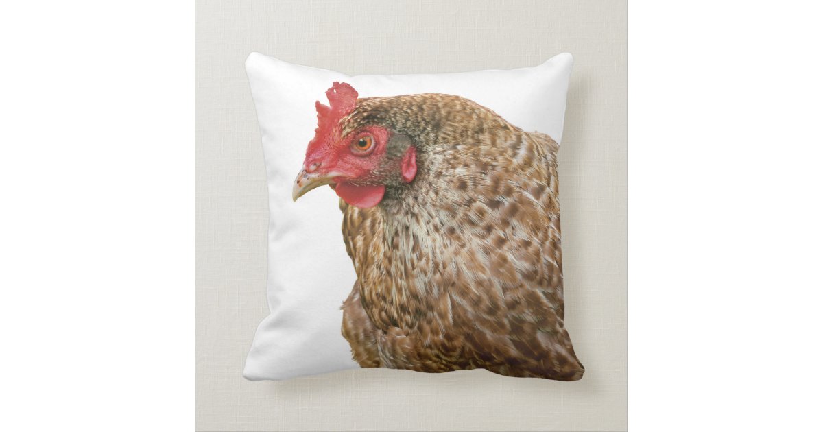 chicken cushion | Zazzle.co.uk