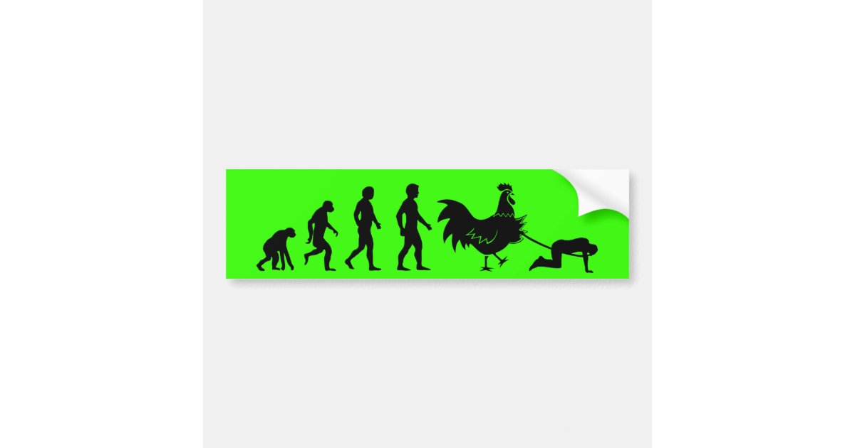 Chicken evolution bumper sticker | Zazzle