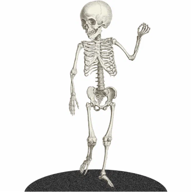 Child Skeleton Cutout Photosculpture 5x7 Standing Photo Sculpture | Zazzle