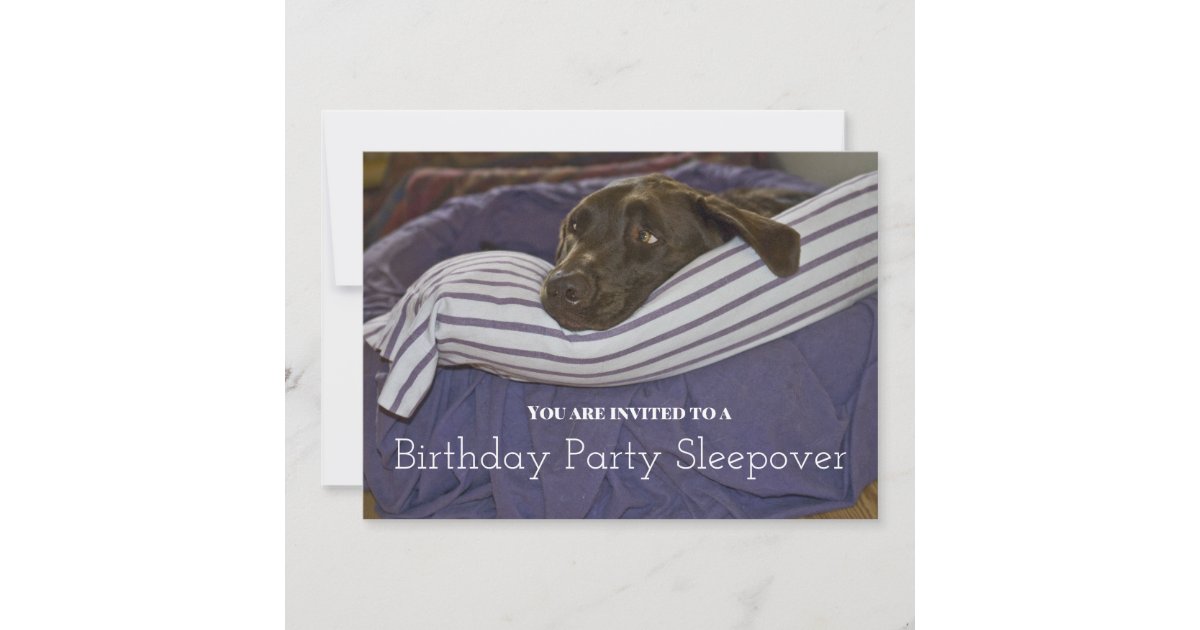 Children's Birthday Party Sleepy Dog Sleepover Invitation | Zazzle