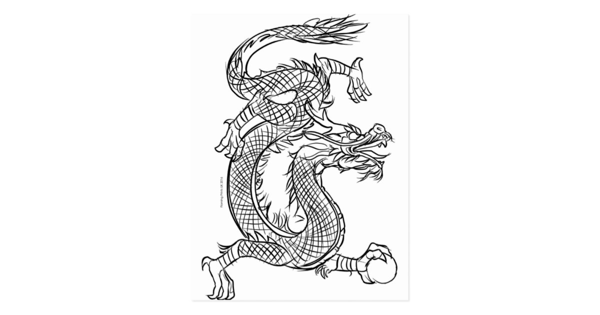 Chinese Dragon Line Drawing Sketch Eastern Fantasy Postcard | Zazzle.co.uk