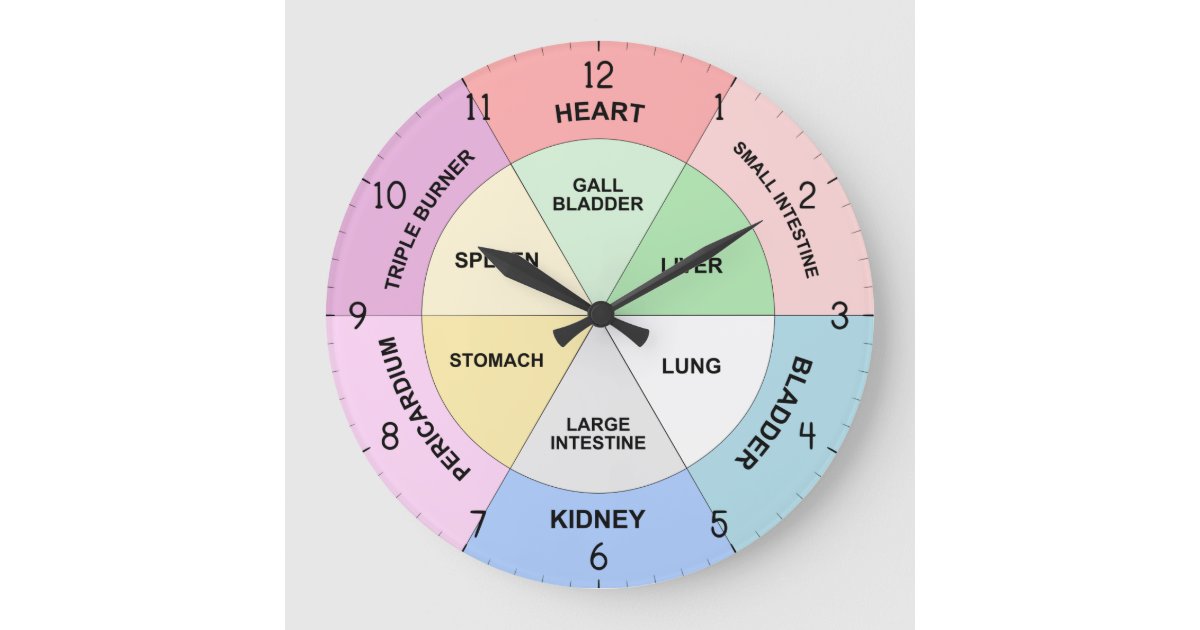 Chinese Organ Clock - TCM Body Clock | Zazzle