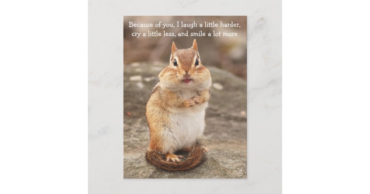 Chipmunk Friendship Quote Postcard | Zazzle