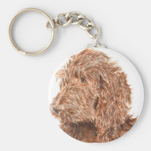 Labradoodle Accessories | Zazzle.co.uk