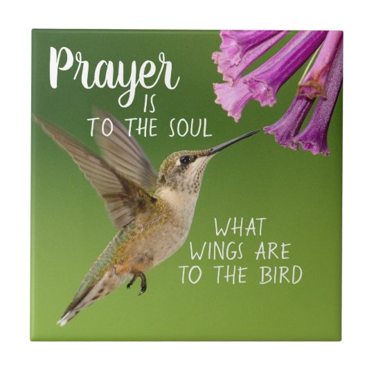 Christian Prayer is to Soul Wings Bird Hummingbird Tile | Zazzle.co.uk