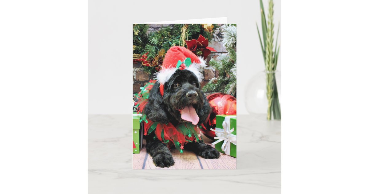 Christmas - Cockapoo - Jack Holiday Card | Zazzle