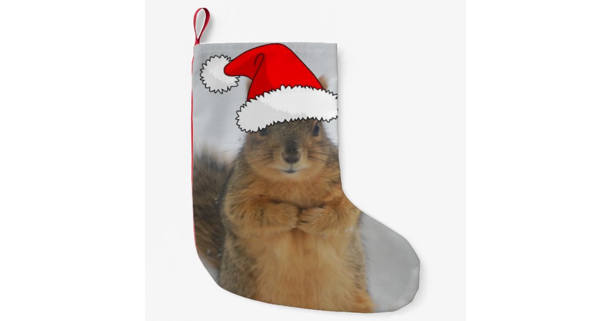 Christmas Squirrel Small Christmas Stocking | Zazzle