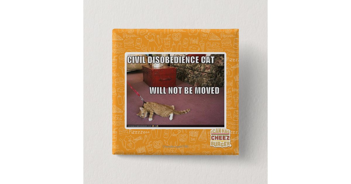 Civil Disobedience Cat 15 Cm Square Badge | Zazzle