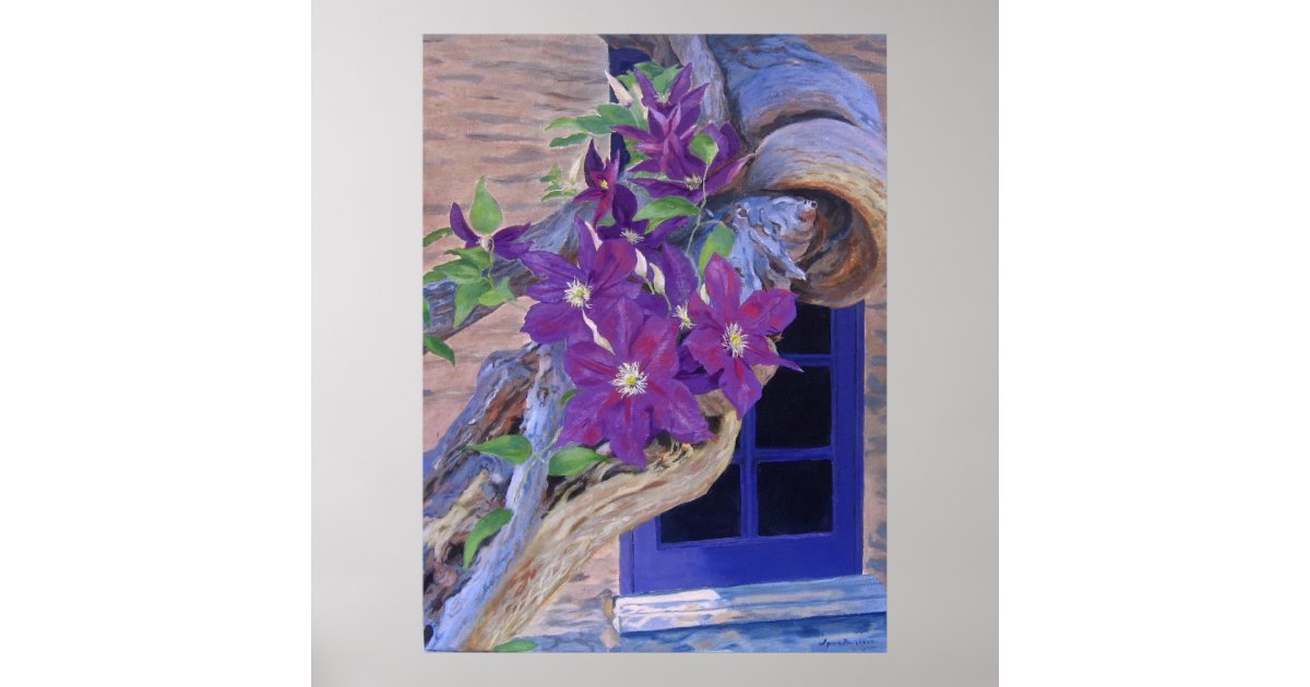 clematis poster/print poster | Zazzle