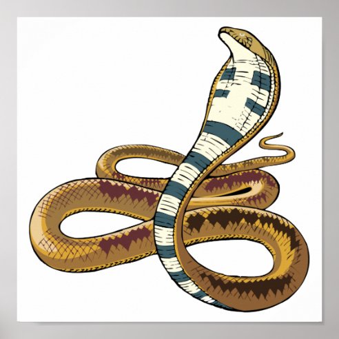 Snake Posters & Prints | Zazzle UK