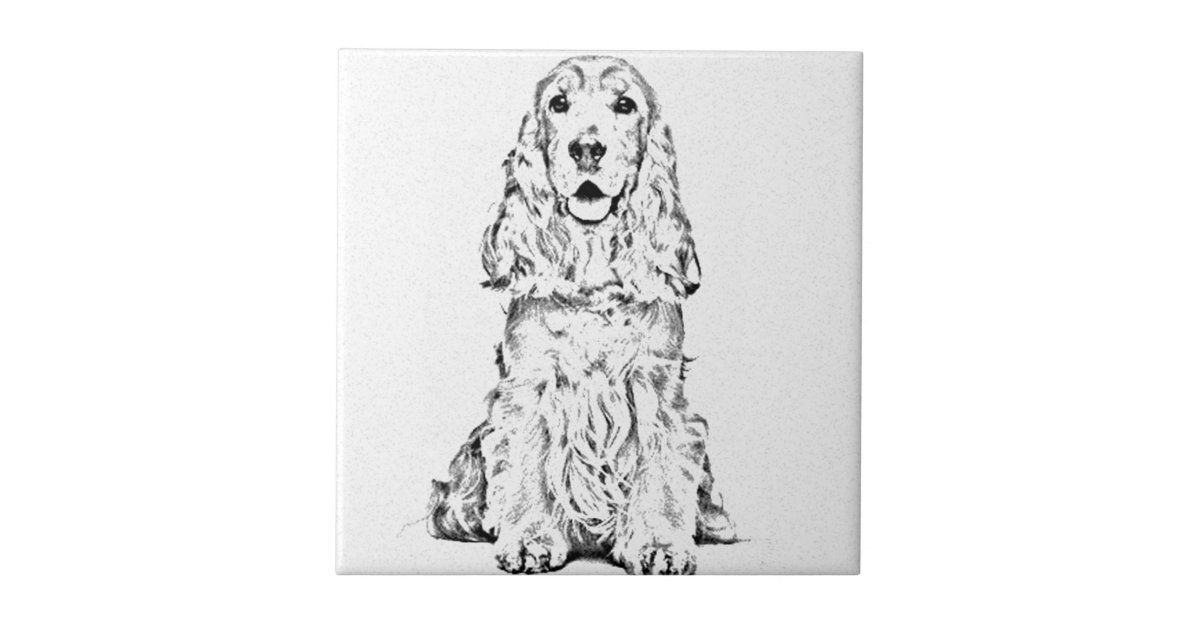 Cocker spaniel tile | Zazzle