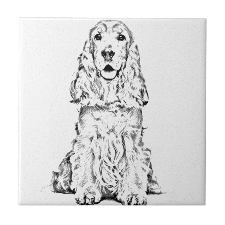 Cocker spaniel tile | Zazzle