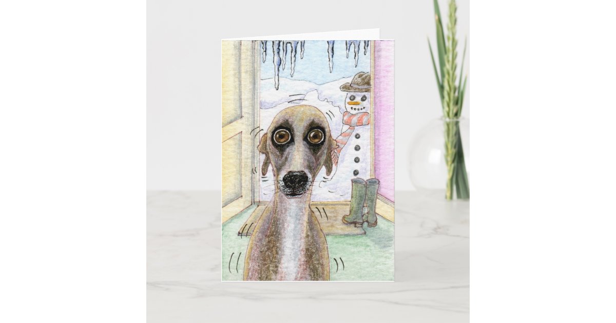 Cold Whippet Christmas card | Zazzle