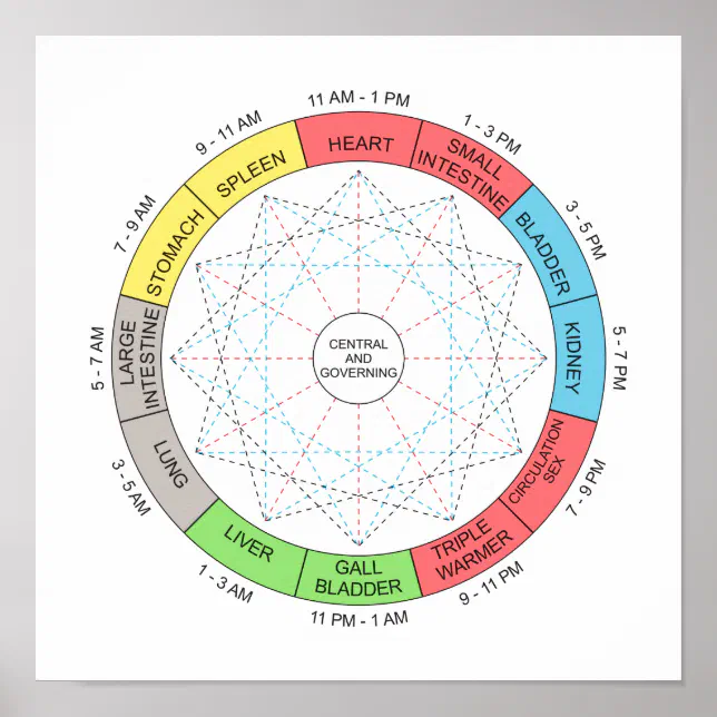Colour Horary Cycle Acupuncture Art Poster | Zazzle