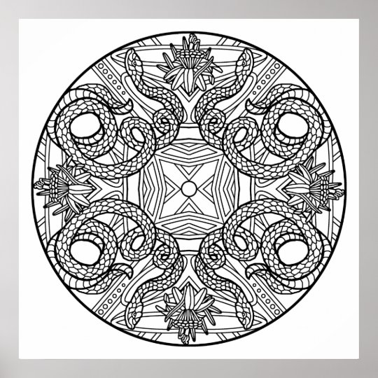 Colour Your Own Snakes Mandala Colouring Poster | Zazzle.co.uk