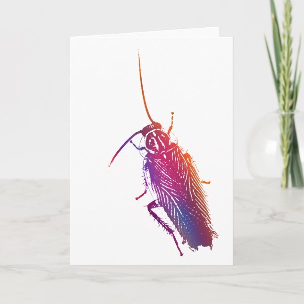 Roach Cards | Zazzle UK