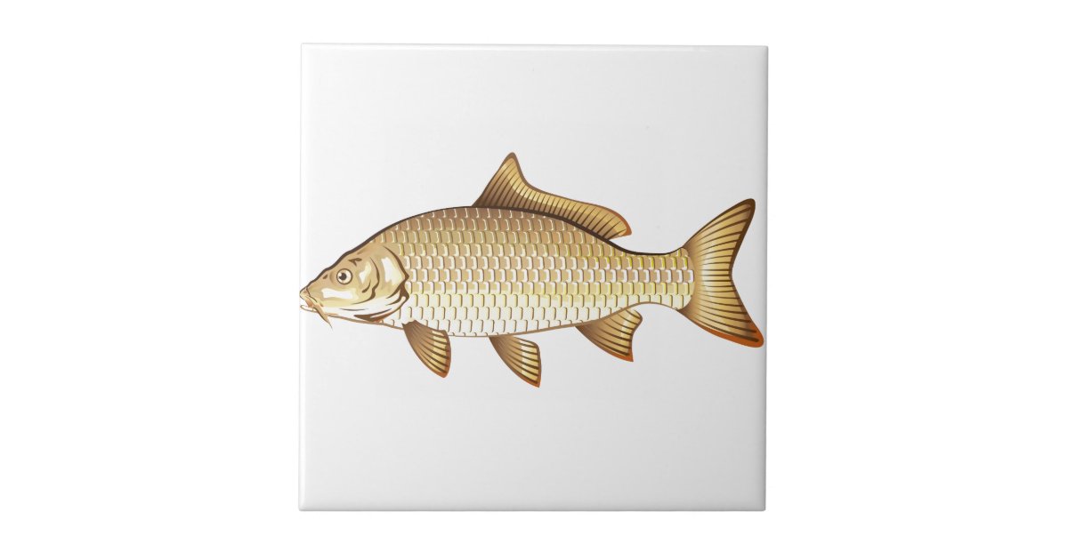 Common Golden Carp Vector Art Tile | Zazzle