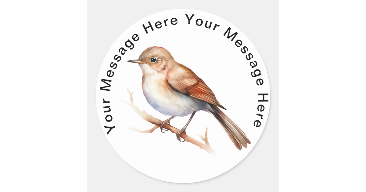 Common Nightingale Classic Round Sticker | Zazzle