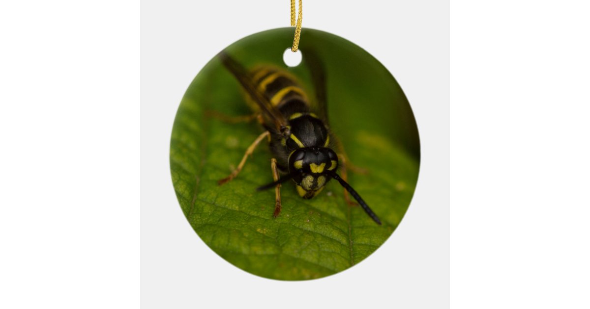 Common Wasp Ceramic Tree Decoration | Zazzle