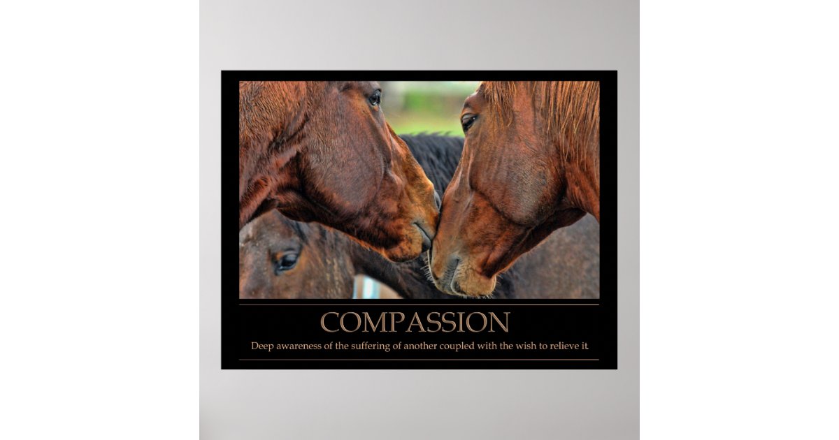 Compassion Poster | Zazzle