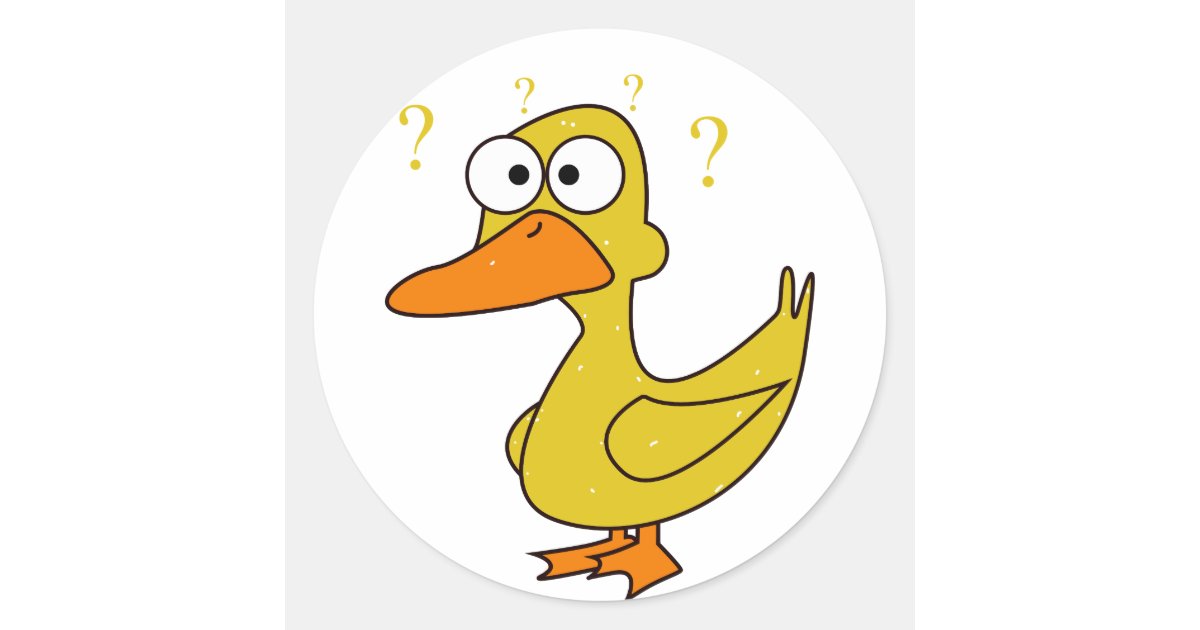 Confused Duck Classic Round Sticker | Zazzle