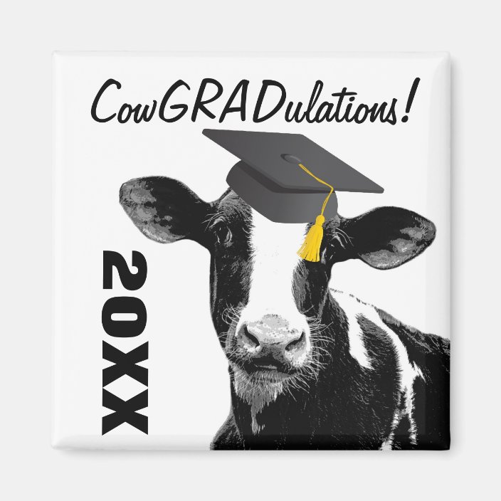 Congratulations Graduation Funny Cow in Cap Magnet | Zazzle.co.uk