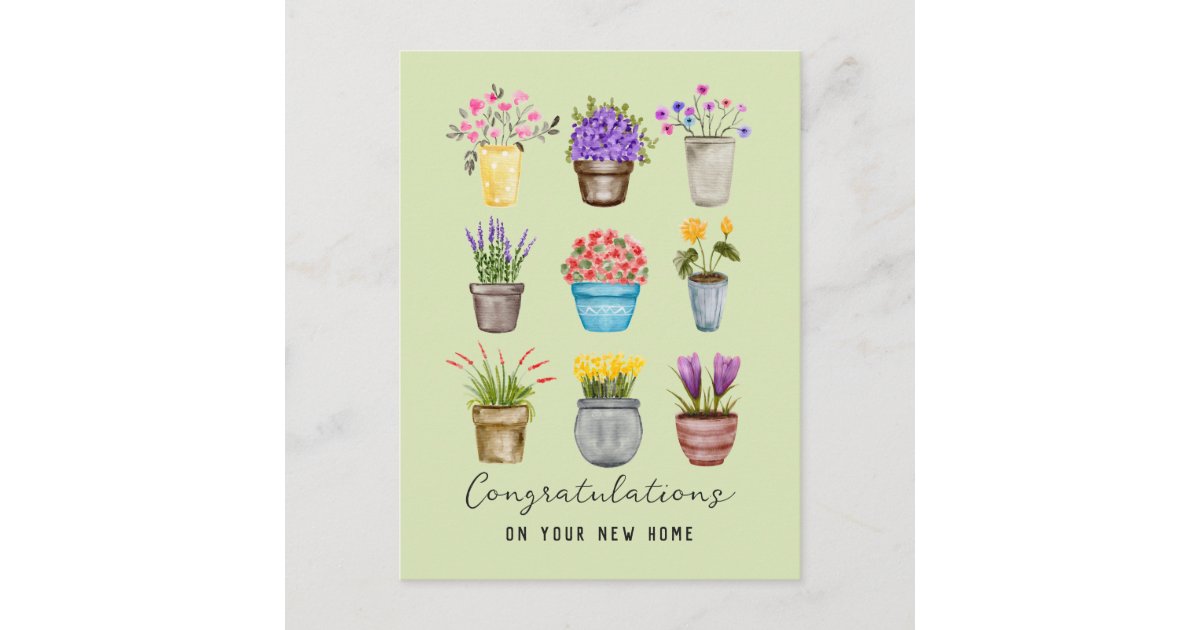 Congratulations New Home Cute Potted Flower Plants Postcard | Zazzle
