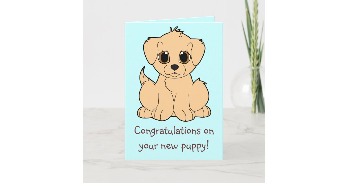 Congratulations on Your New Puppy Card | Zazzle.co.uk