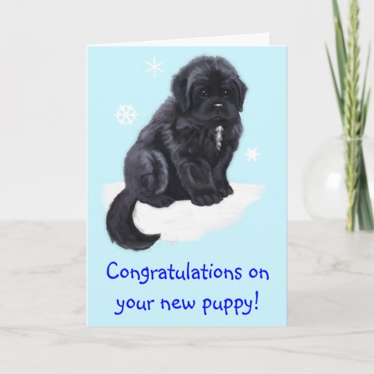 Congratulations on Your New Puppy Card | Zazzle.co.uk