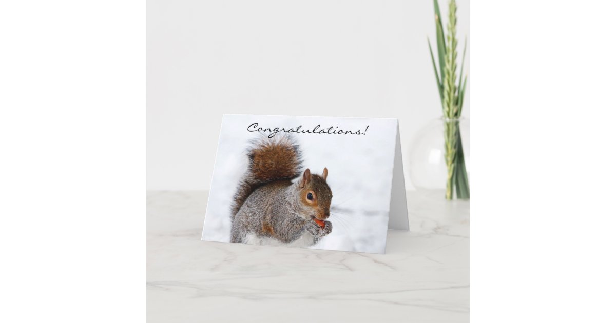 Congratulations Squirrel Greeting card | Zazzle