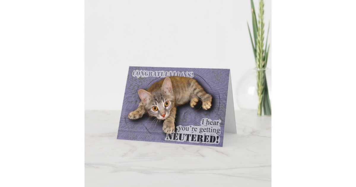 Congratulations! You're being neutered! Card | Zazzle