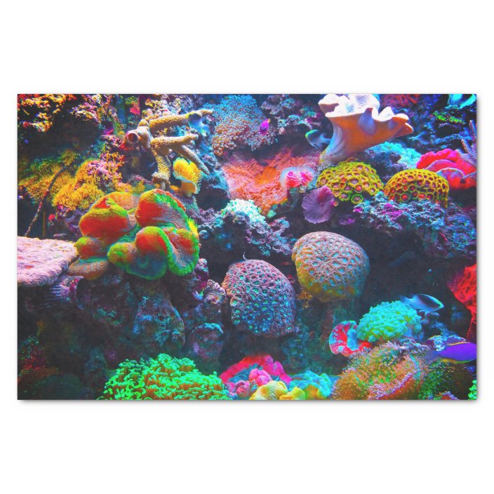 Coral reef tissue paper | Zazzle.co.uk