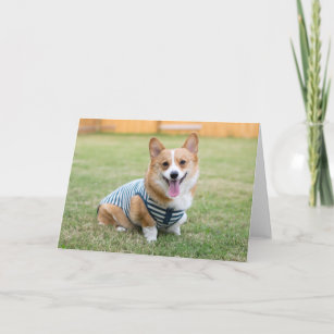 Corgi Birthday Cards | Zazzle UK