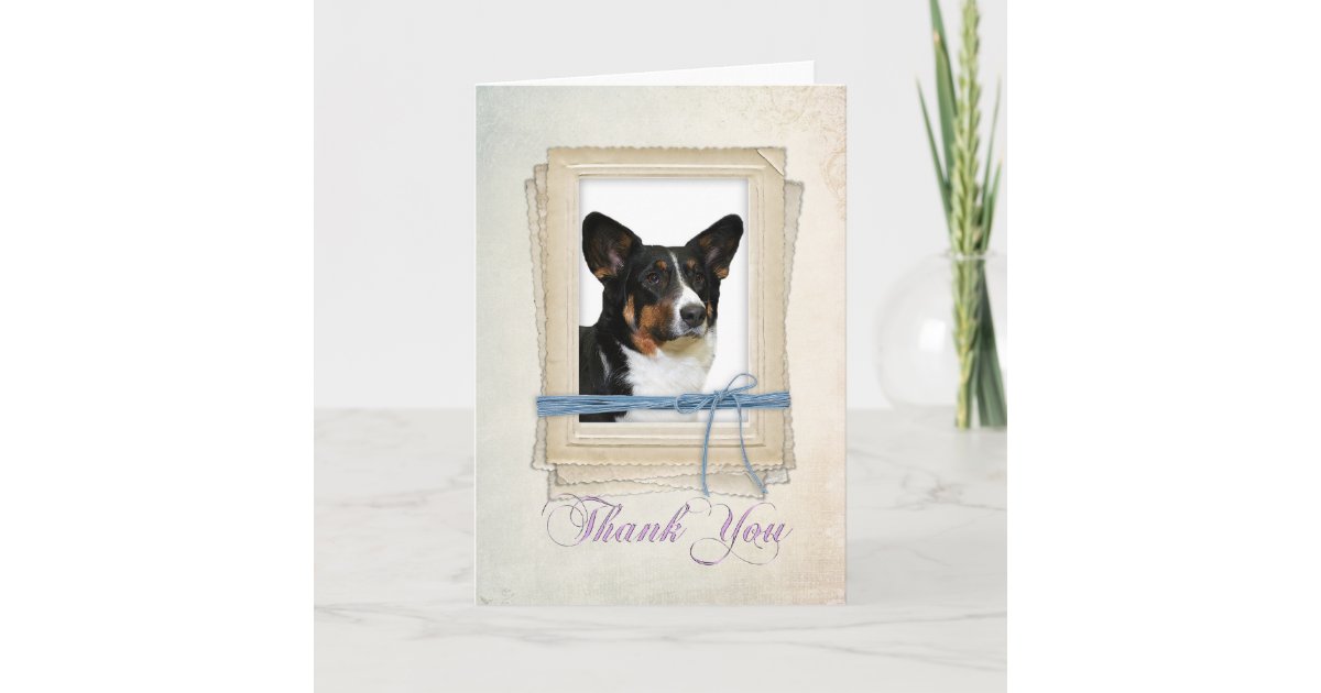 Corgi Thank You Card | Zazzle