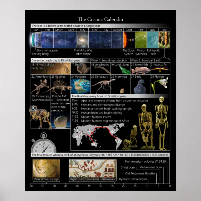 Cosmic Calendar Small Poster | Zazzle