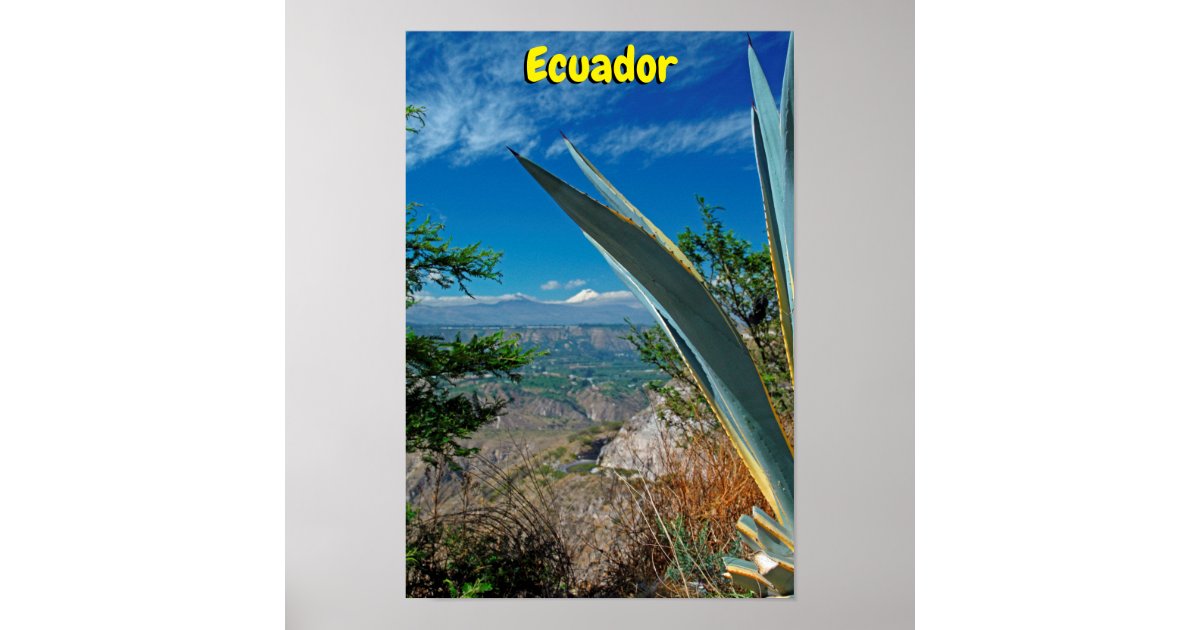 Cotopaxi volcano, Ecuador Poster | Zazzle
