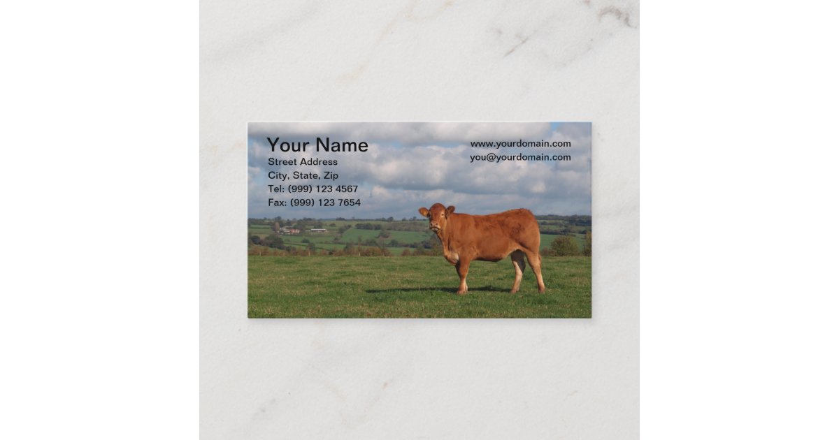 Cow Business Card | Zazzle