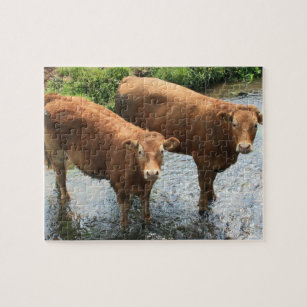 Devon Jigsaw Puzzles | Zazzle.co.uk