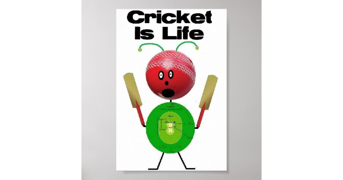 Cricket is Life Poster | Zazzle