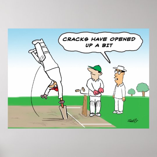 Cricket Wicket - Funny Cricket Poster | Zazzle.co.uk