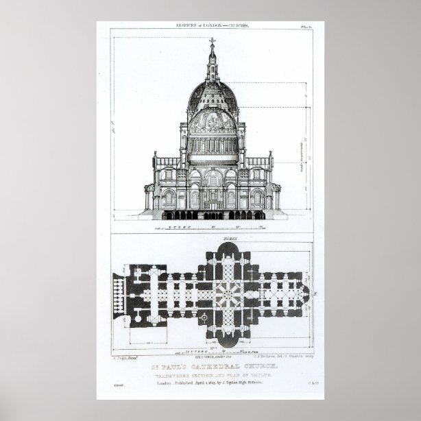 Cross Section Posters & Prints | Zazzle UK