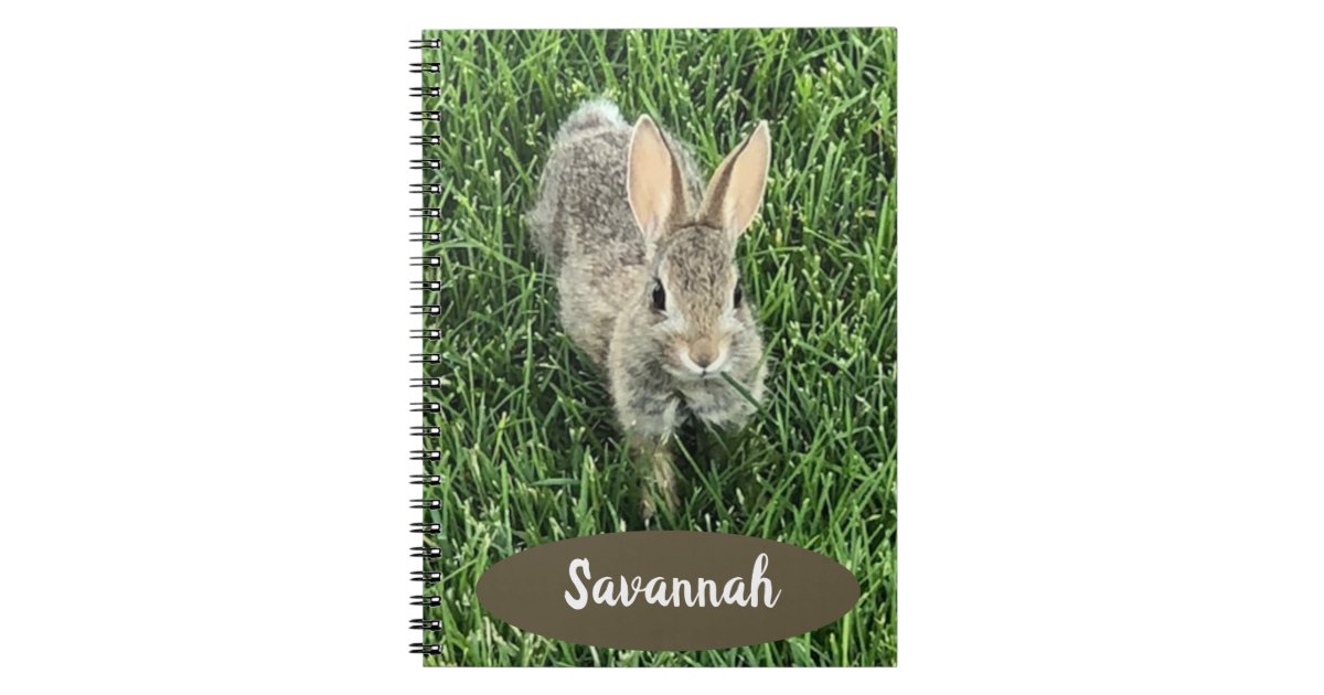 Custom Cute Cottontail Bunny Notebook | Zazzle