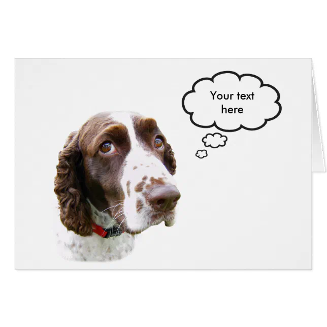 Custom English Springer Spaniel Card | Zazzle