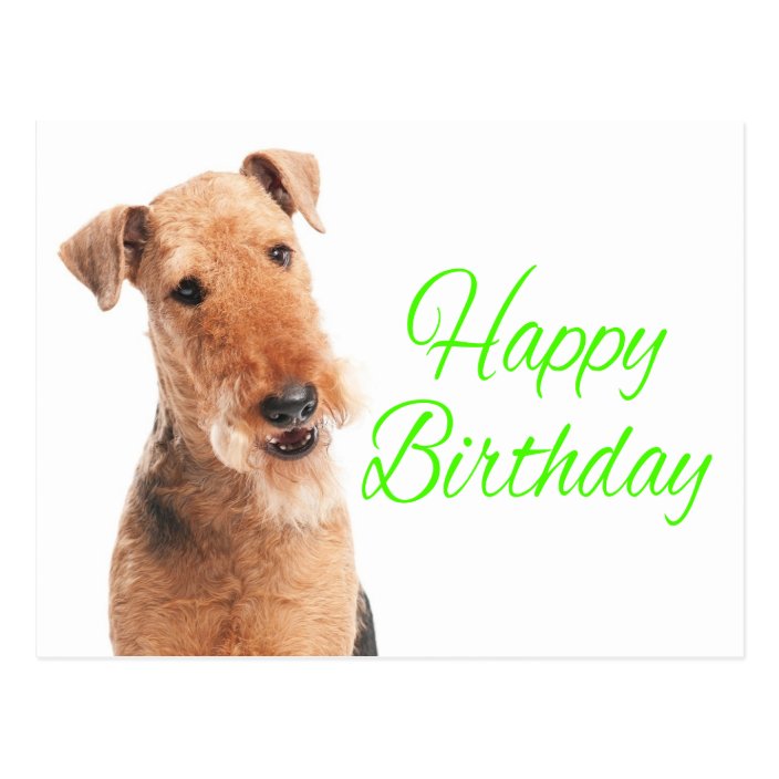 Cute Airedale Terrier Puppy Dog Happy Birthday Postcard | Zazzle.co.uk