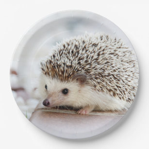 Hedgehog Plates | Zazzle UK