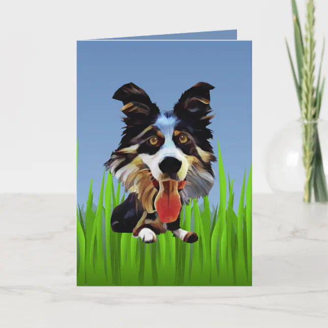 Cute Border Collie Greeting Card | Zazzle