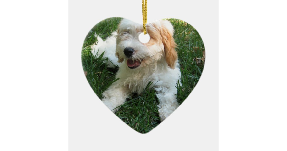 CUTE CAVAPOO PUPPY CERAMIC TREE DECORATION | Zazzle